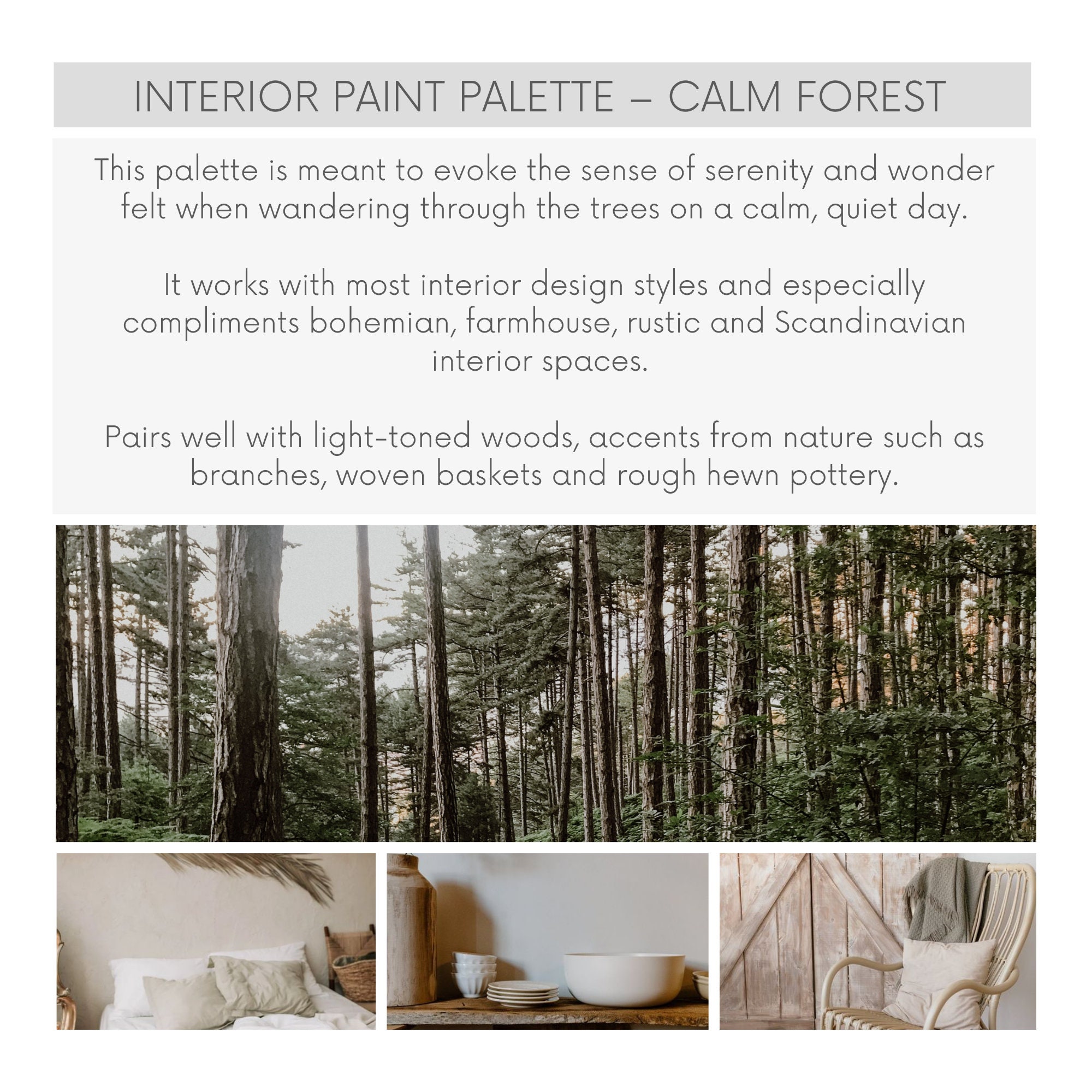 Calm Forest Paint Palette, Paint Color Palette, Farmhouse Color Palette ...