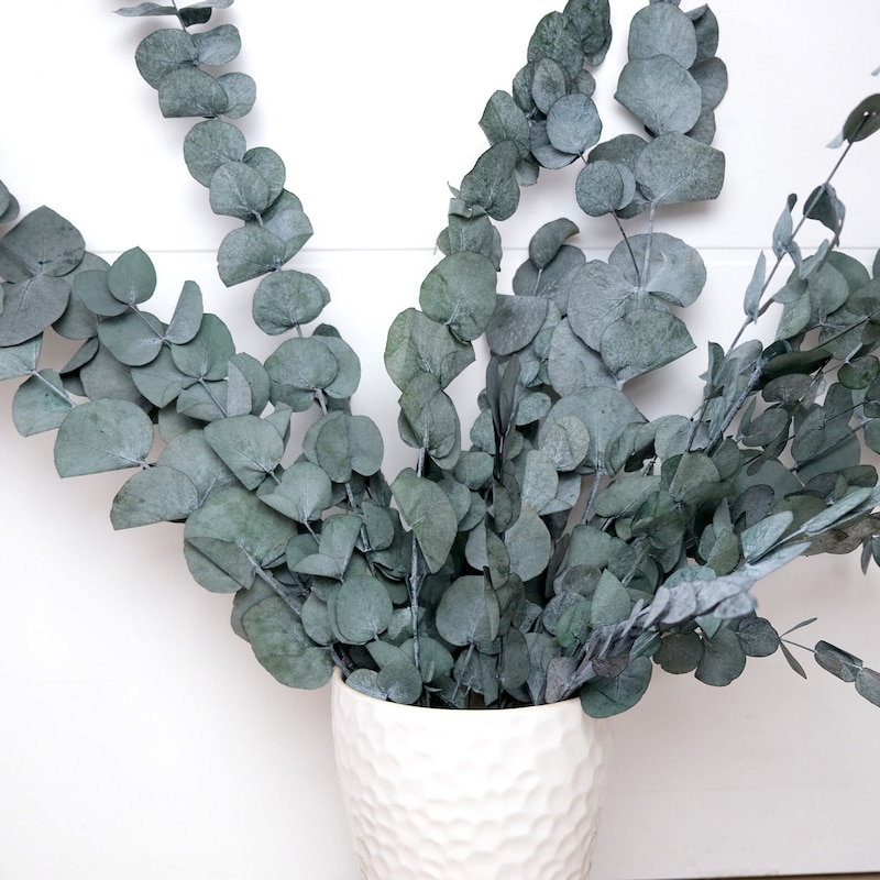 Eucalyptus Decor - Etsy