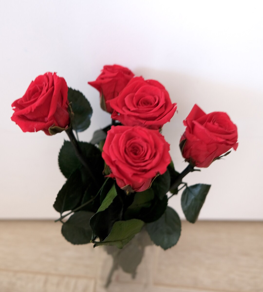 Forever Rose Red Preserved Roses Eternal Rose Dried Flower - Etsy