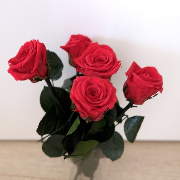 Long Stem Roses - Etsy