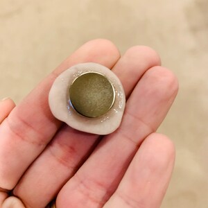 Hematology White Blood Cell Magnets, Cls, Medical Technologist, Mlt ...