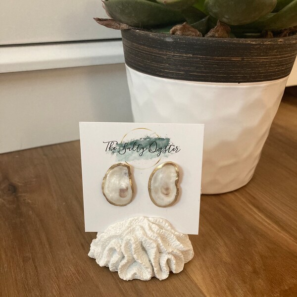 Shell Stud Earrings - Etsy