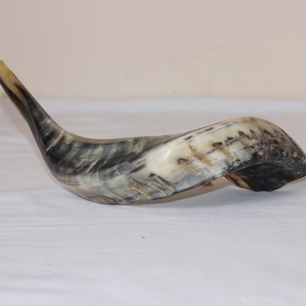 Shofar - Etsy