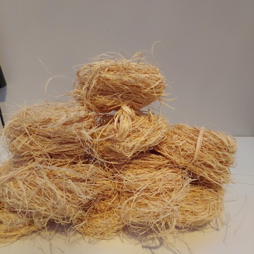 Local Sponge/plant Sponge - Etsy