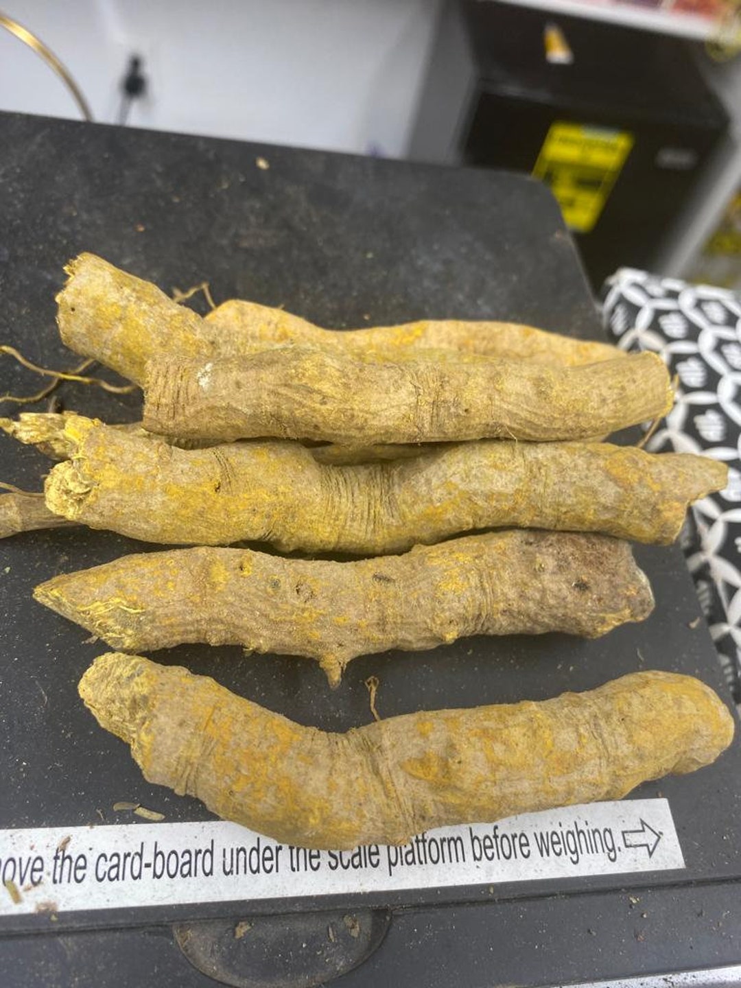 Egbo Akerejupon/ajo/sphenocentrum Jollyanum - Etsy