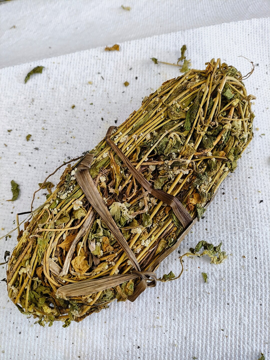 Ewe Aje/wealth Leaf - Etsy