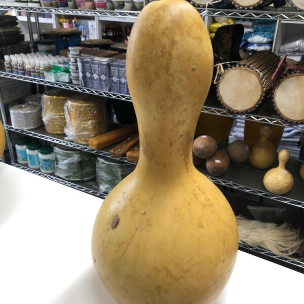 Natural Gourd - Etsy