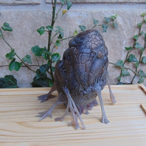 1984 GREMLINS Movie NECA GREMLIN Egg Action Figure Custom Display ...