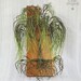 The Russet Tree - Etsy