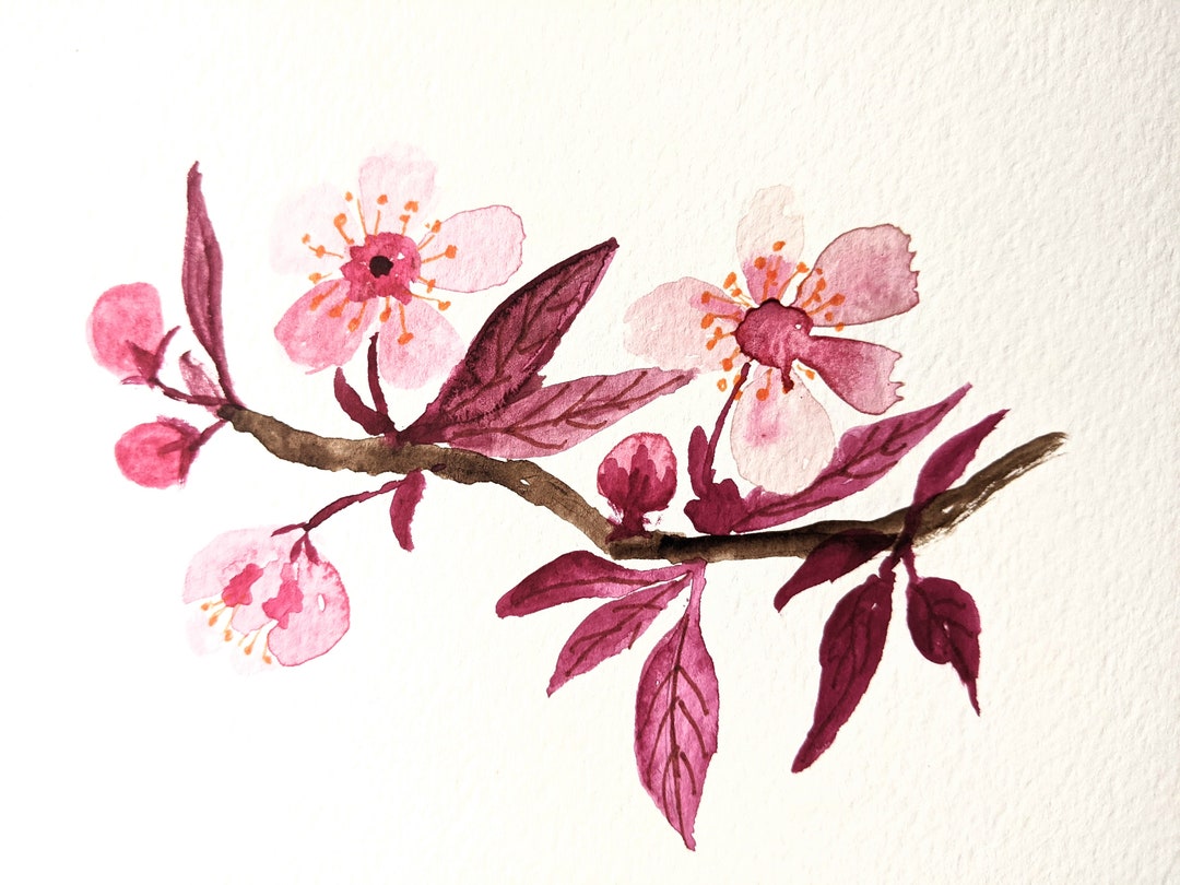 Pretty Pink Blossom Hand Painted in Watercolours Blank Greetings Card ...