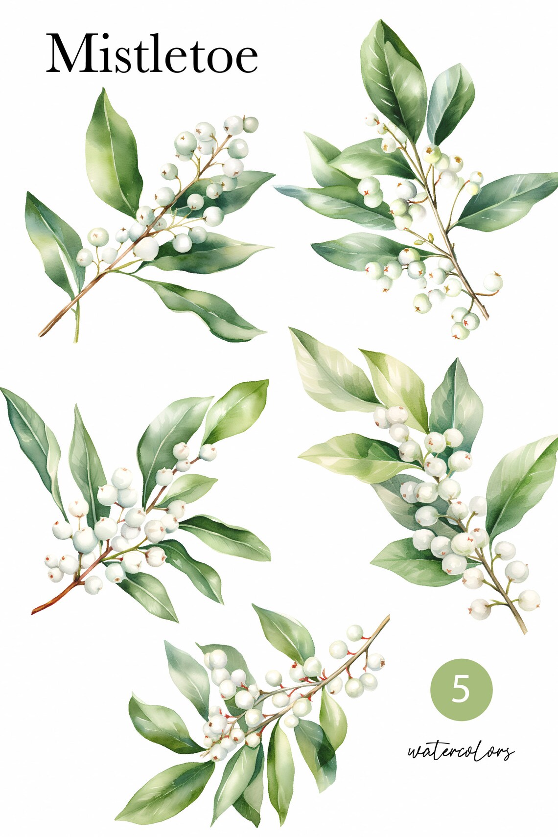 Watercolor Christmas Clipart Watercolor Christmas Mistletoe - Etsy