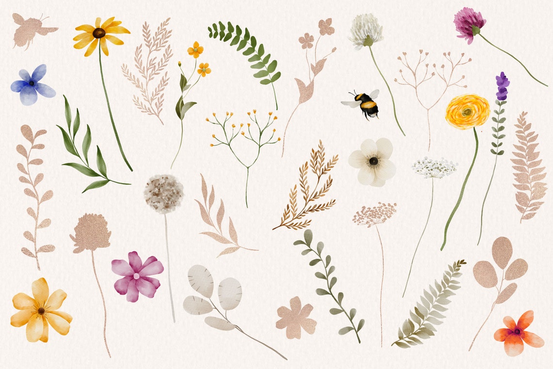 Wildflowers Watercolor Floral Clipart , Wild Flowers, Wedding Clipart ...
