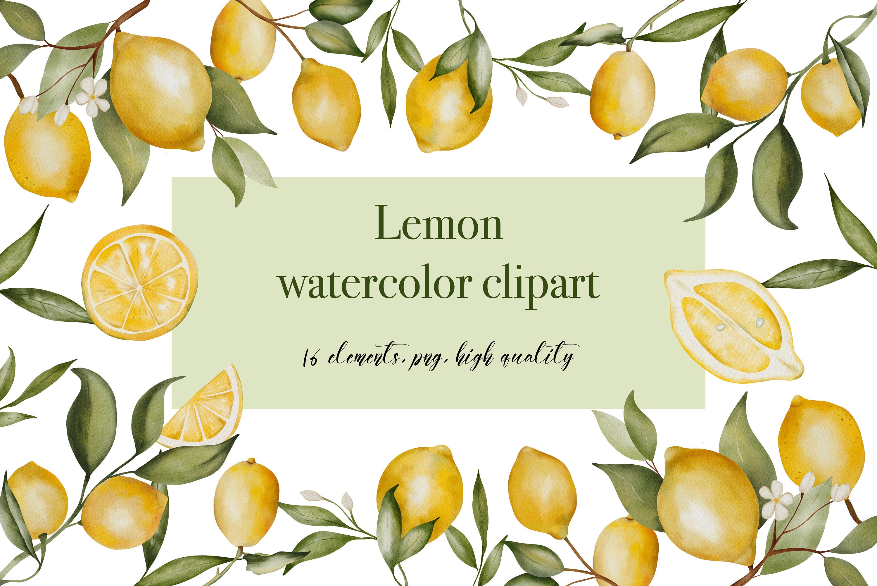 Watercolor Citrus Clipart - Botanical Citrus Illustration for Boho ...