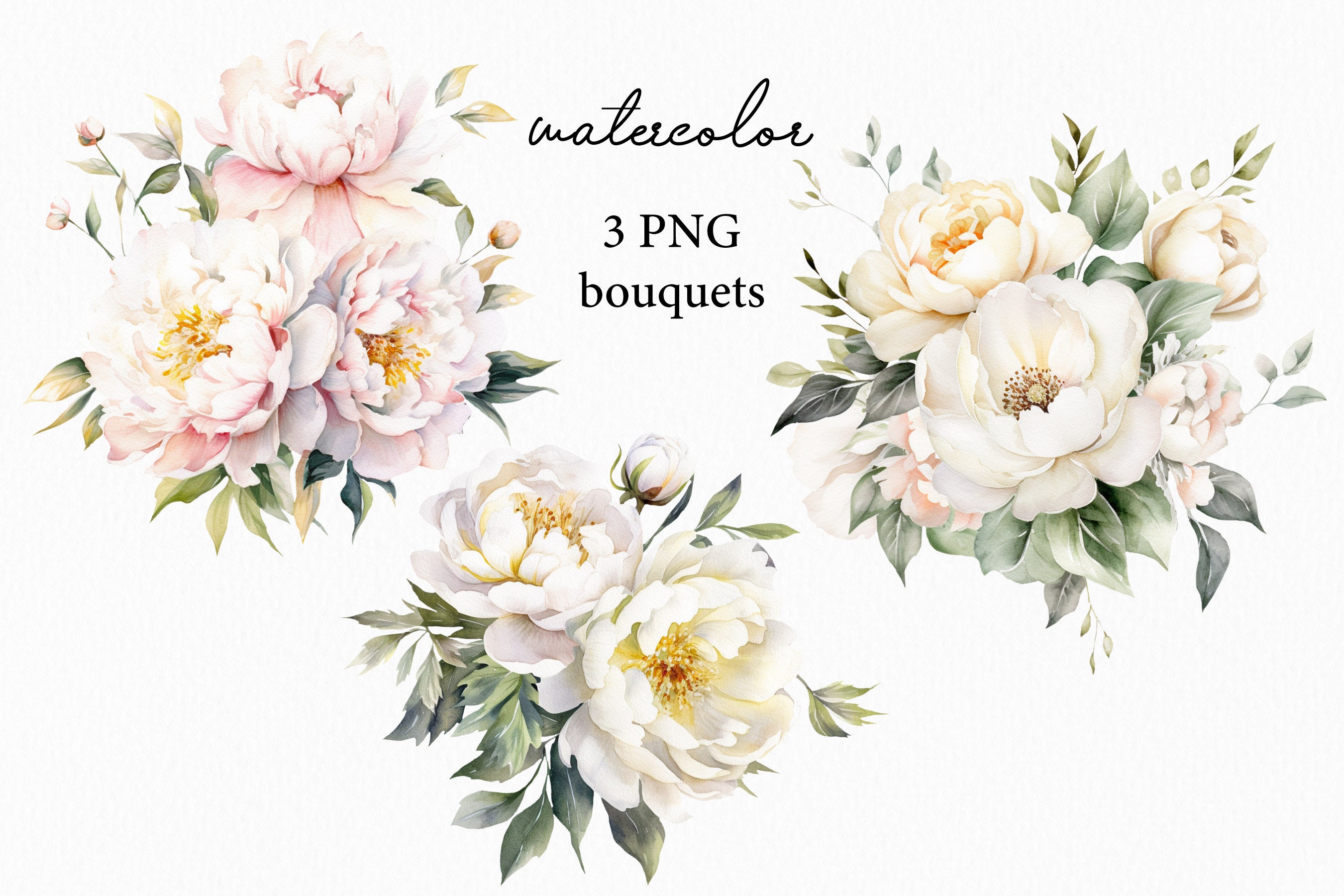 Watercolor Peony Flowers Clipart, Gentle Floral PNG Elements and ...