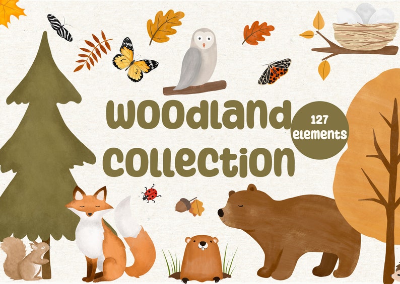 Forest Animal Clipart PNG Woodland Animals Clipart Deer - Etsy