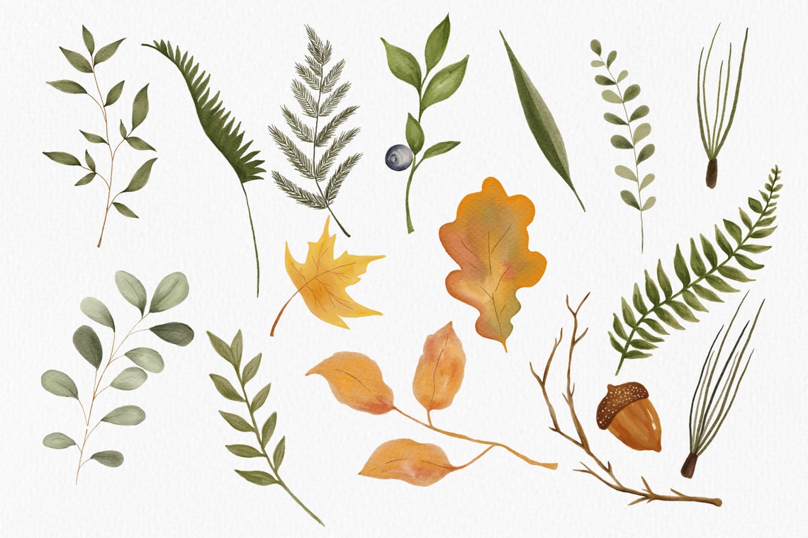 Watercolor Forest Digital Clipart Set Forest Landscape - Etsy