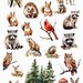 Whimsical Woodland Animals Clipart Set - Watercolor Forest Animals PNG ...