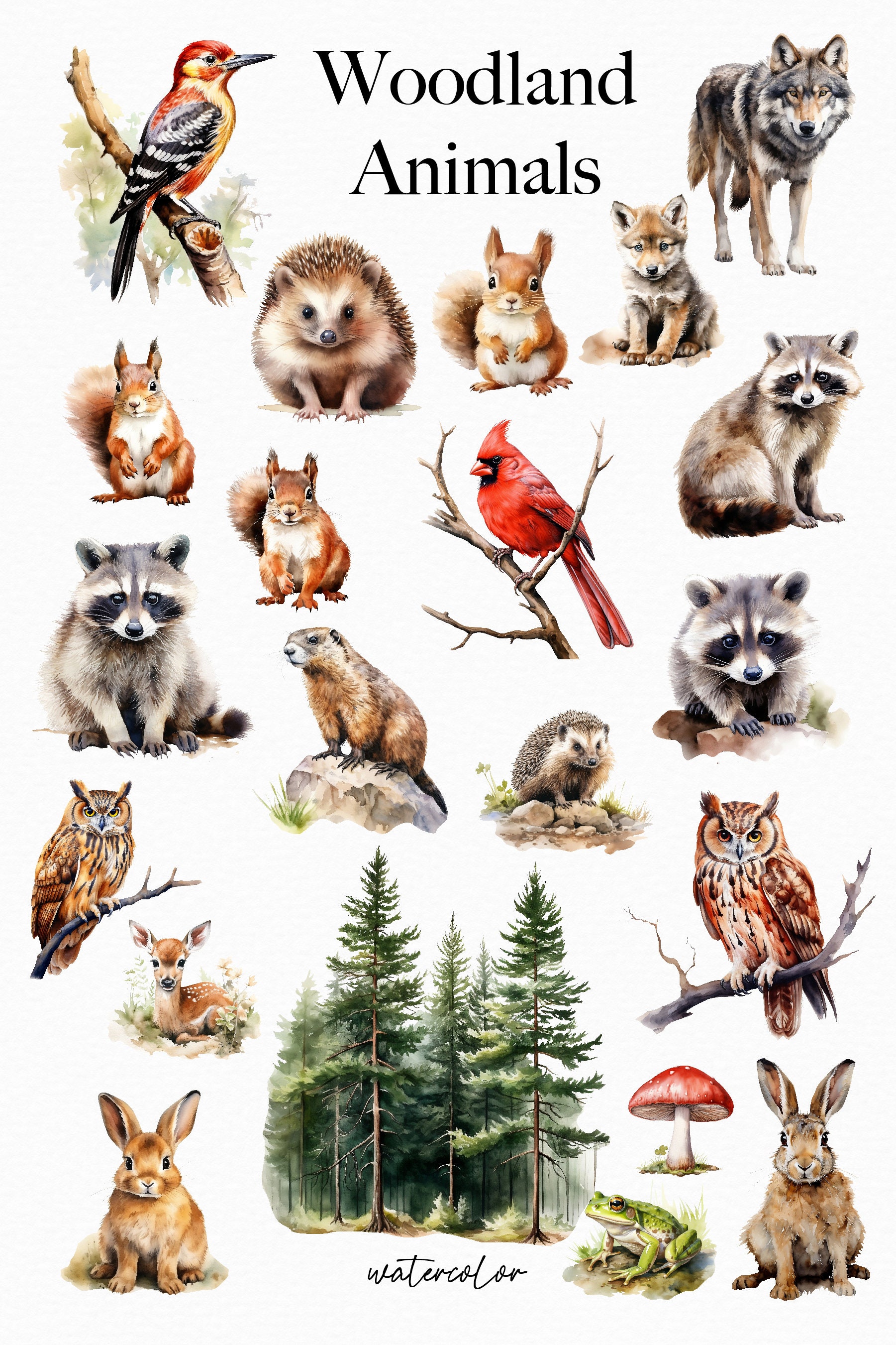 Whimsical Woodland Animals Clipart Set - Watercolor Forest Animals PNG ...
