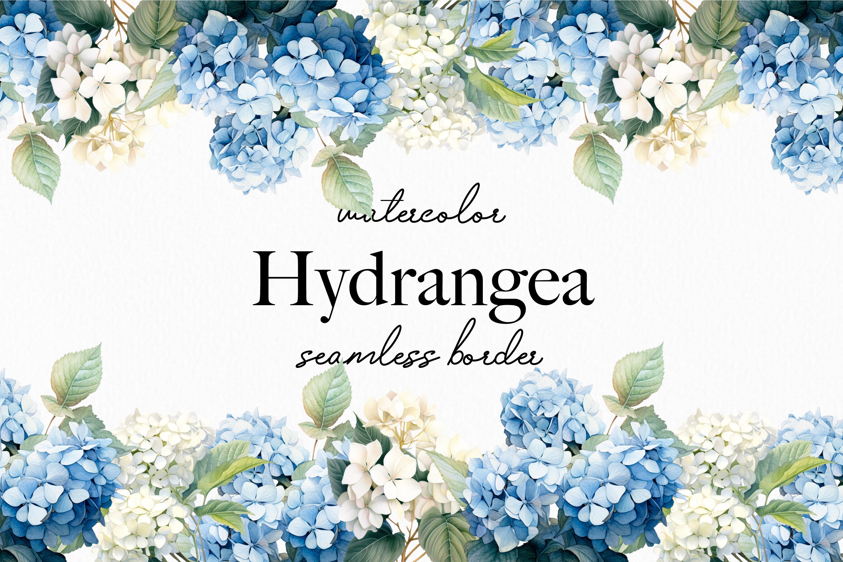 Hydrangea Watercolor Frames, Blue Floral Hydrangea Png, Hydrangea ...