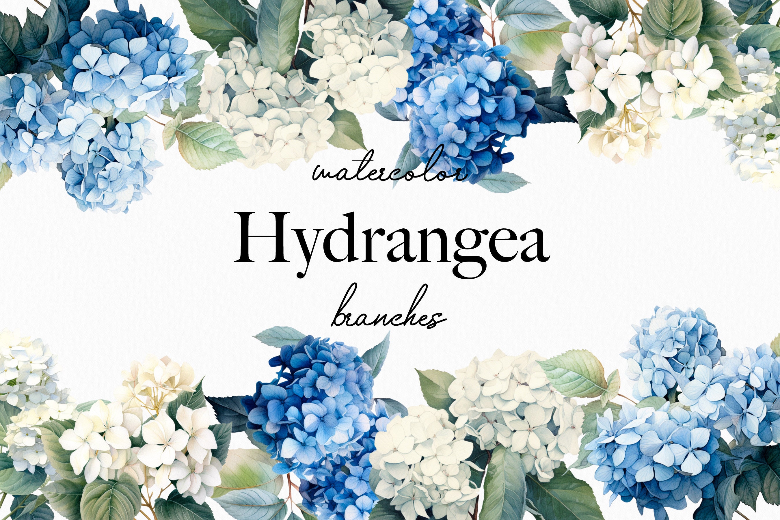 Hydrangea Watercolor Clipart, Blue Floral Hyndragea Png, Hydrangea ...