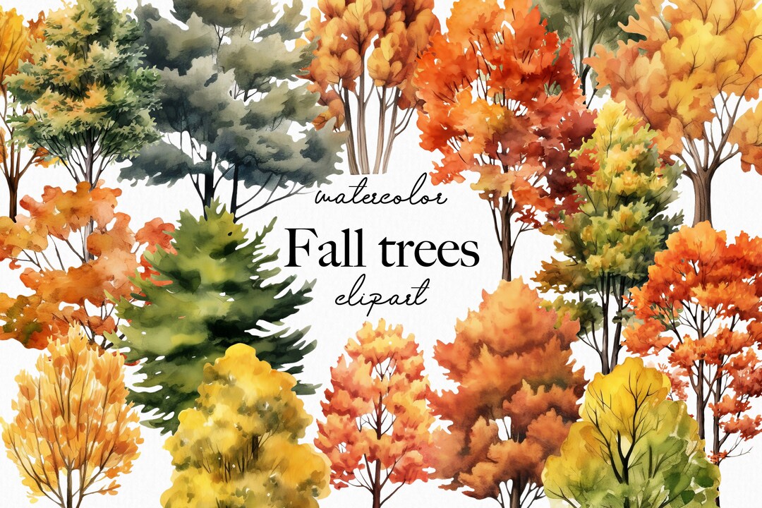 Watercolor Autumn Trees Clipart, Forest Tree, Fall Tree, Autumn Clipart, Fall Clipart ...