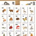 Woodland Alphabet Flashcards - Forest Alphabet Cards - Homeschool - ABC ...