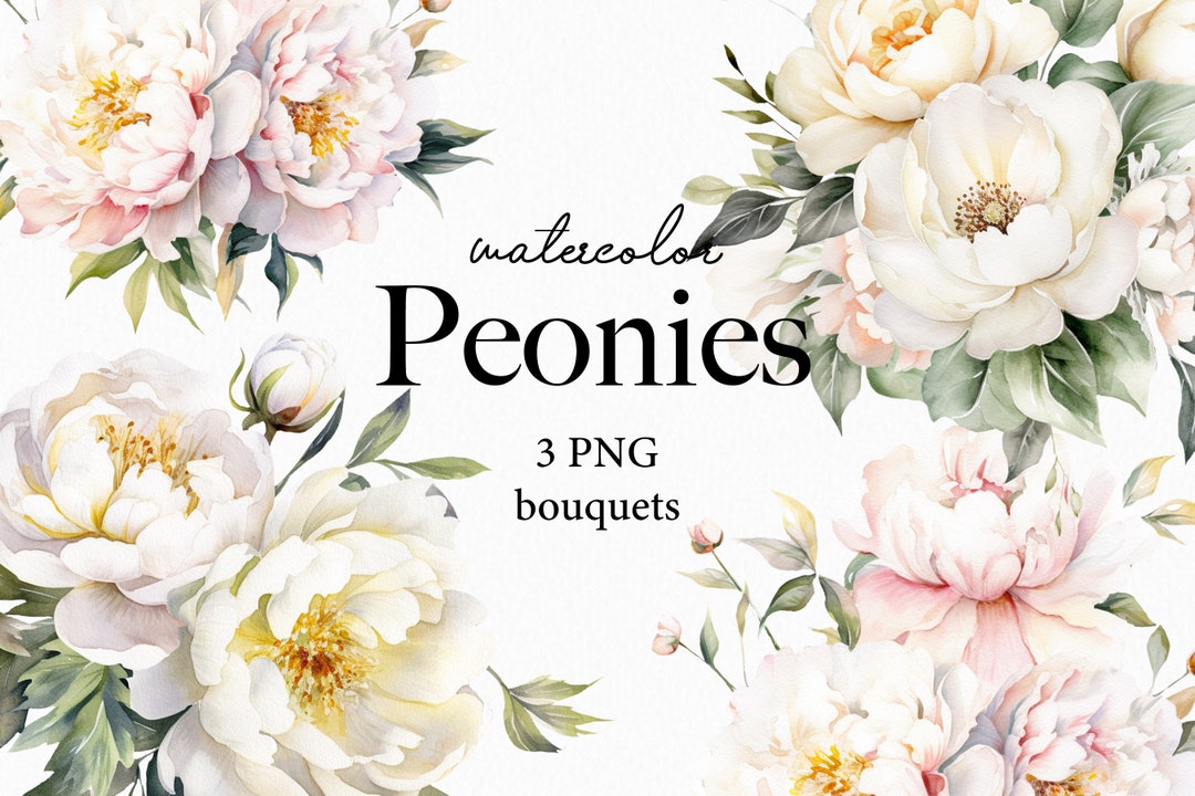 Watercolor Peony Flowers Clipart, Gentle Floral PNG Elements and ...