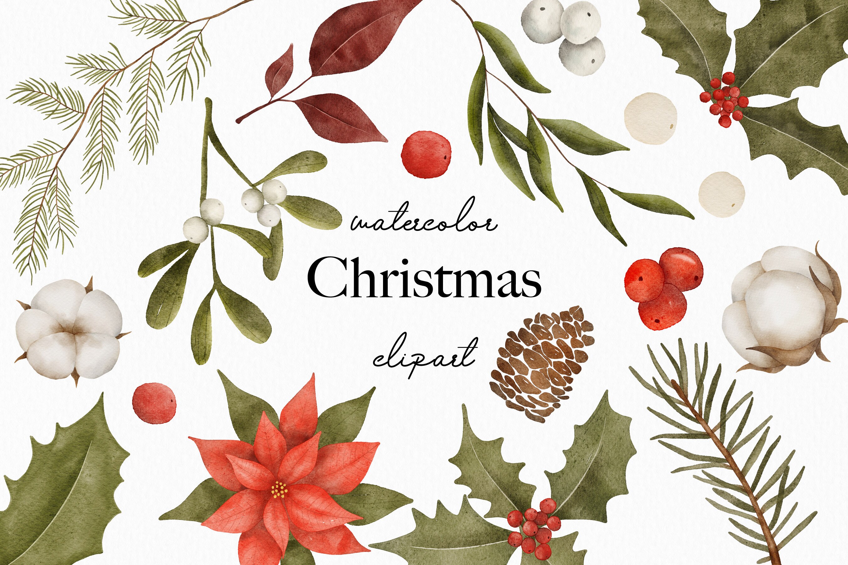 Winter Watercolor Clipart - Christmas Flowers - Pine Clipart ...