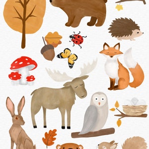 Forest Animal Clipart - Woodland Animals Clipart - Adorable Woodland ...