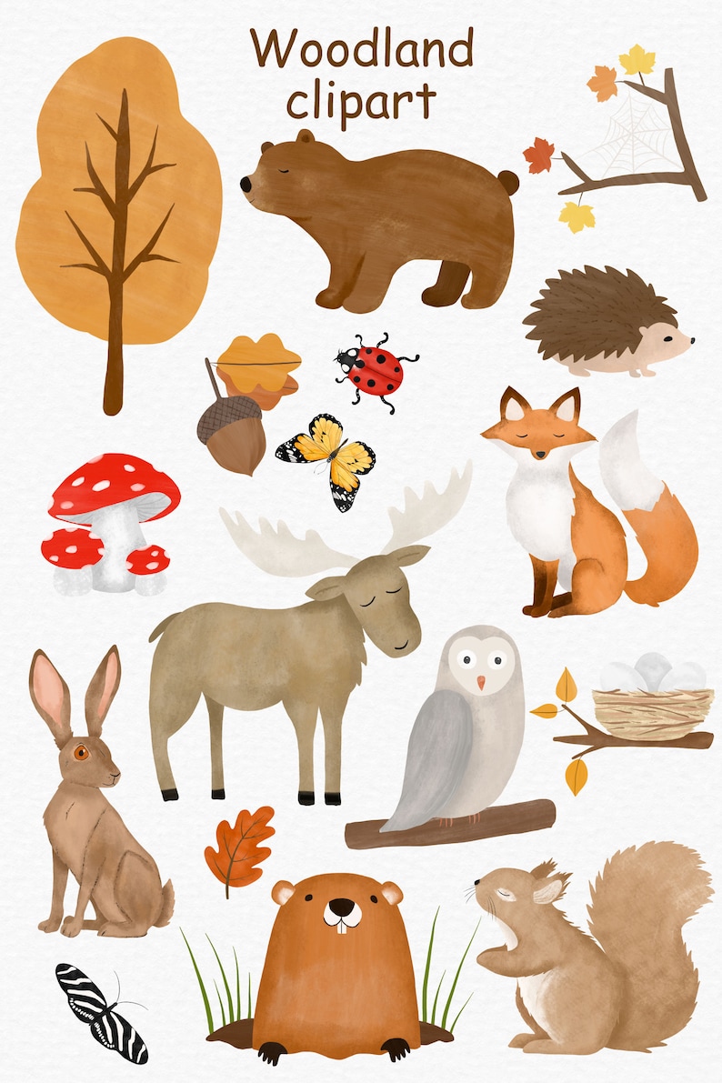 Forest Animal Clipart Woodland Animals Clipart Adorable Woodland ...