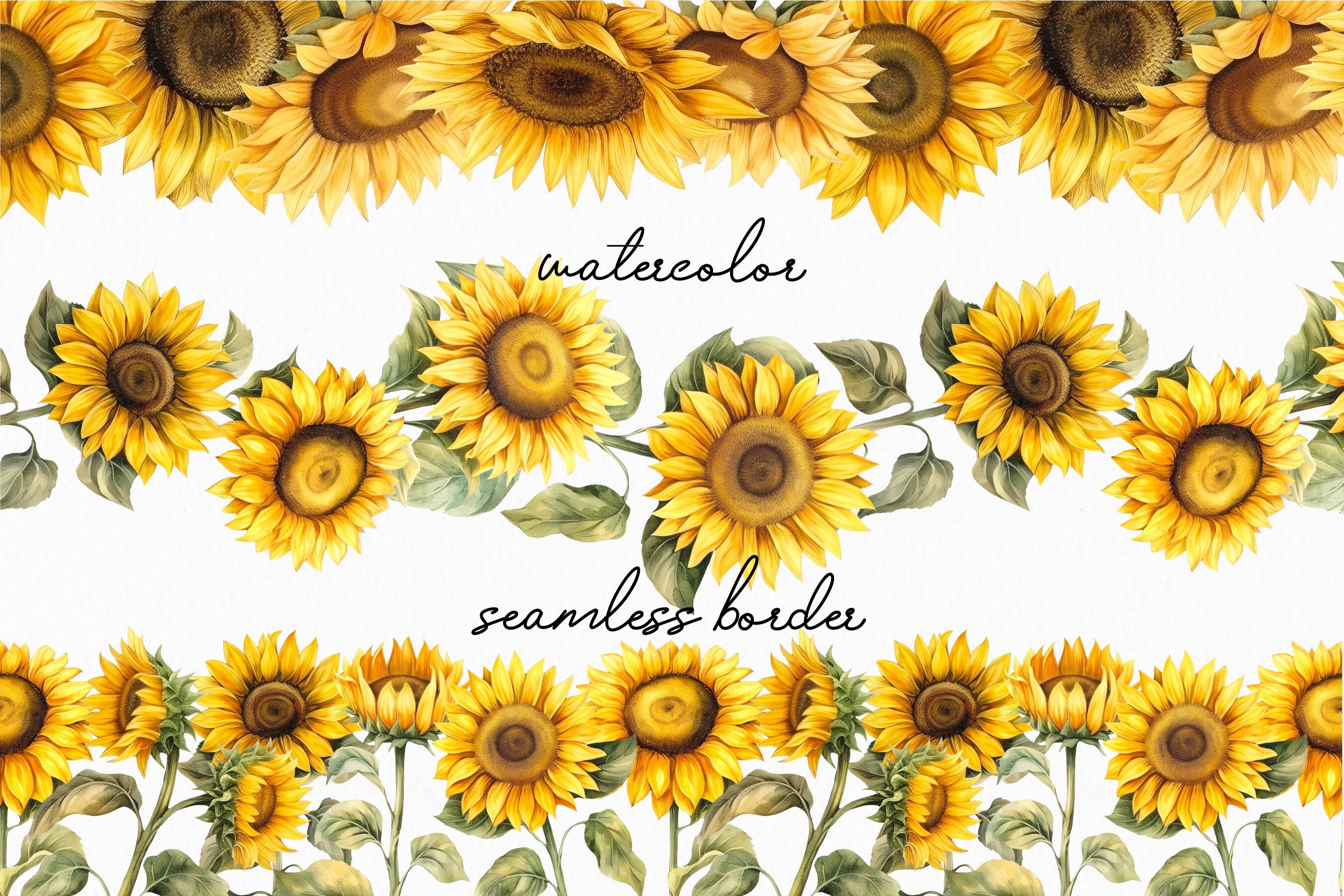 Sunflower Border Clipart. Watercolor Sunflowers Frame PNG. Seamless ...