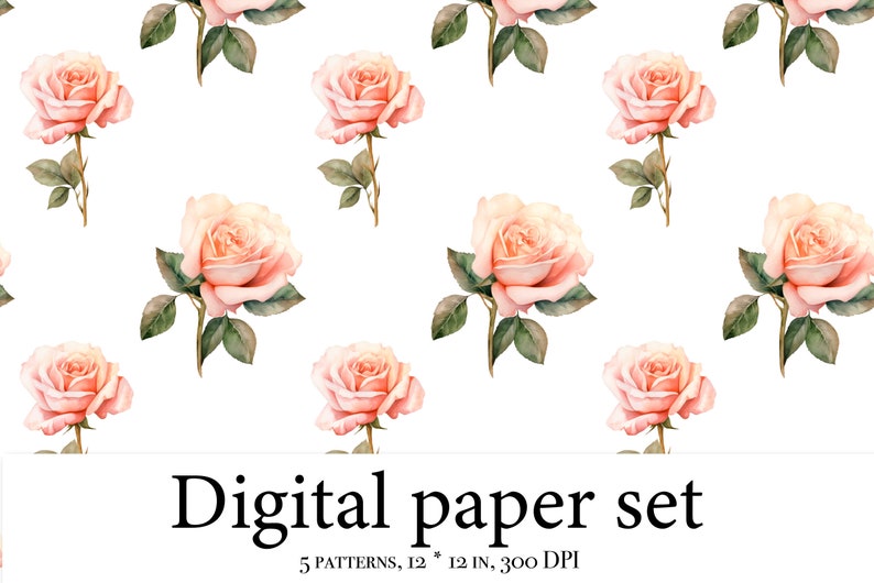Watercolor Blush Rose Digital Paper Pack, Blush Roses Scrapbook, Roses ...