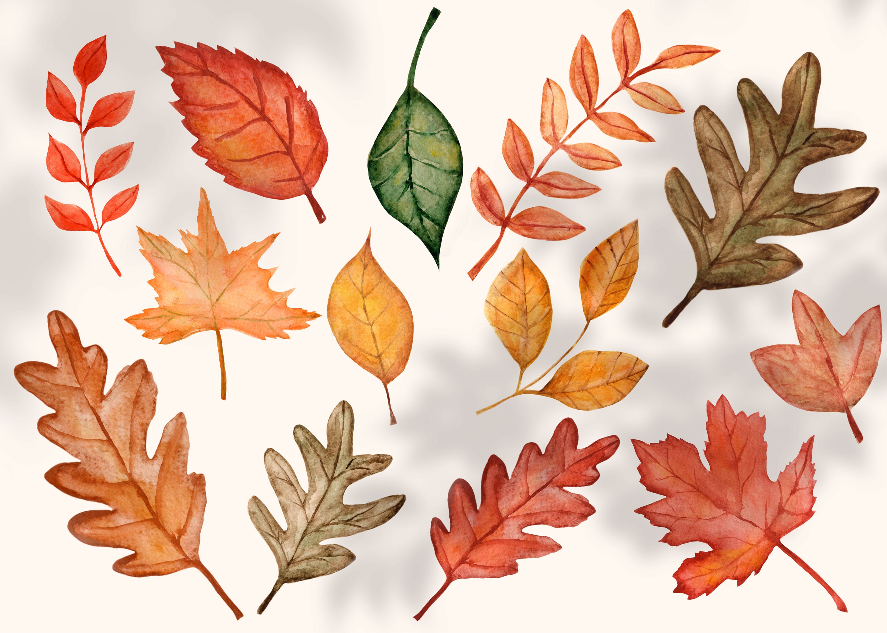 Fall Leaves Clip Art Watercolor Fall Clipart Floral Green Red Brown ...