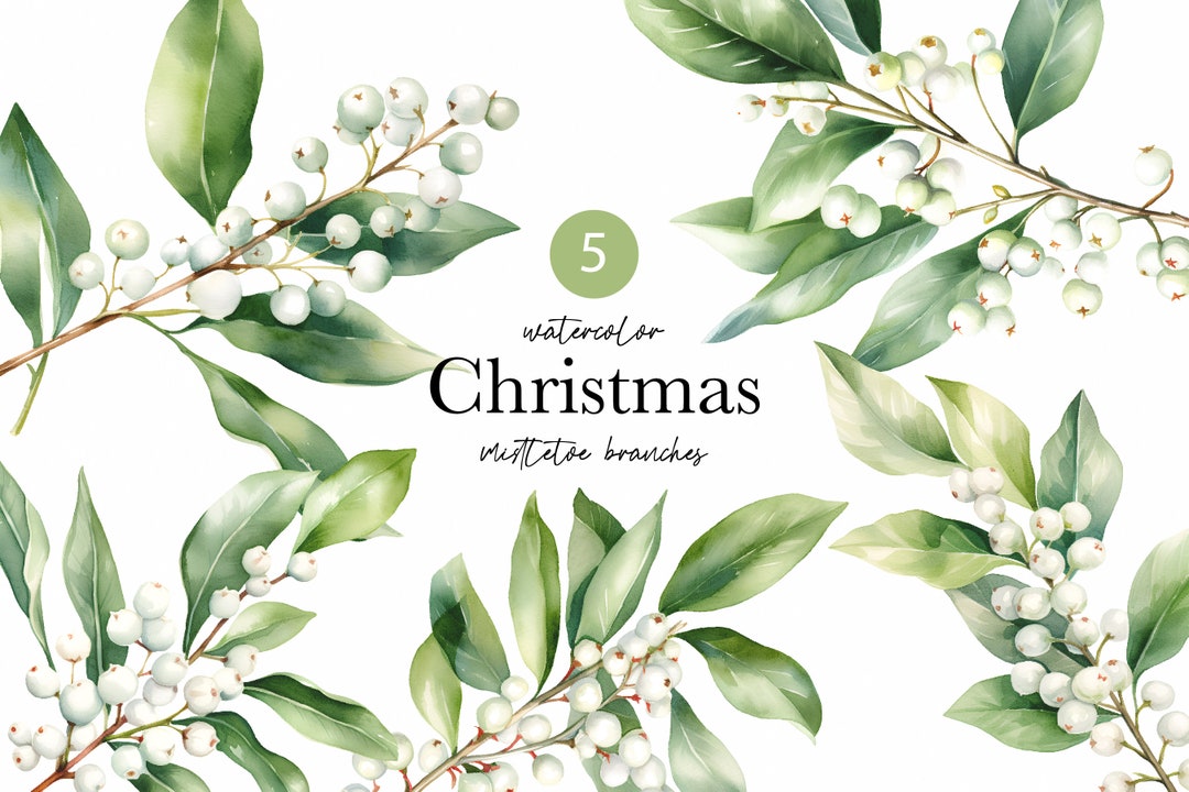 Watercolor Christmas Clipart - Watercolor Christmas Mistletoe ...