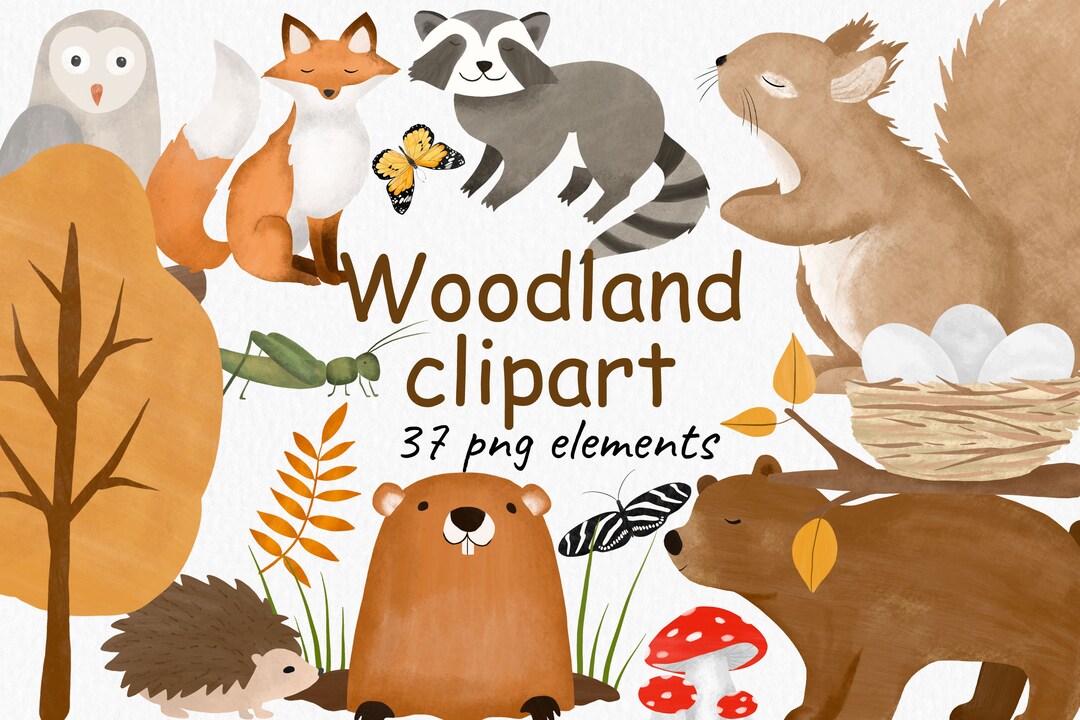 Forest Animal Clipart - Woodland Animals Clipart - Adorable Woodland ...