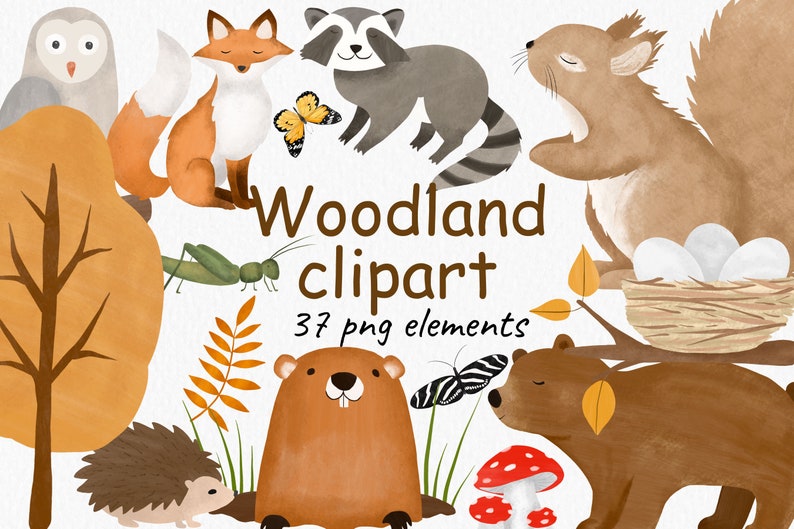 Forest Animal Clipart Woodland Animals Clipart Adorable Woodland ...