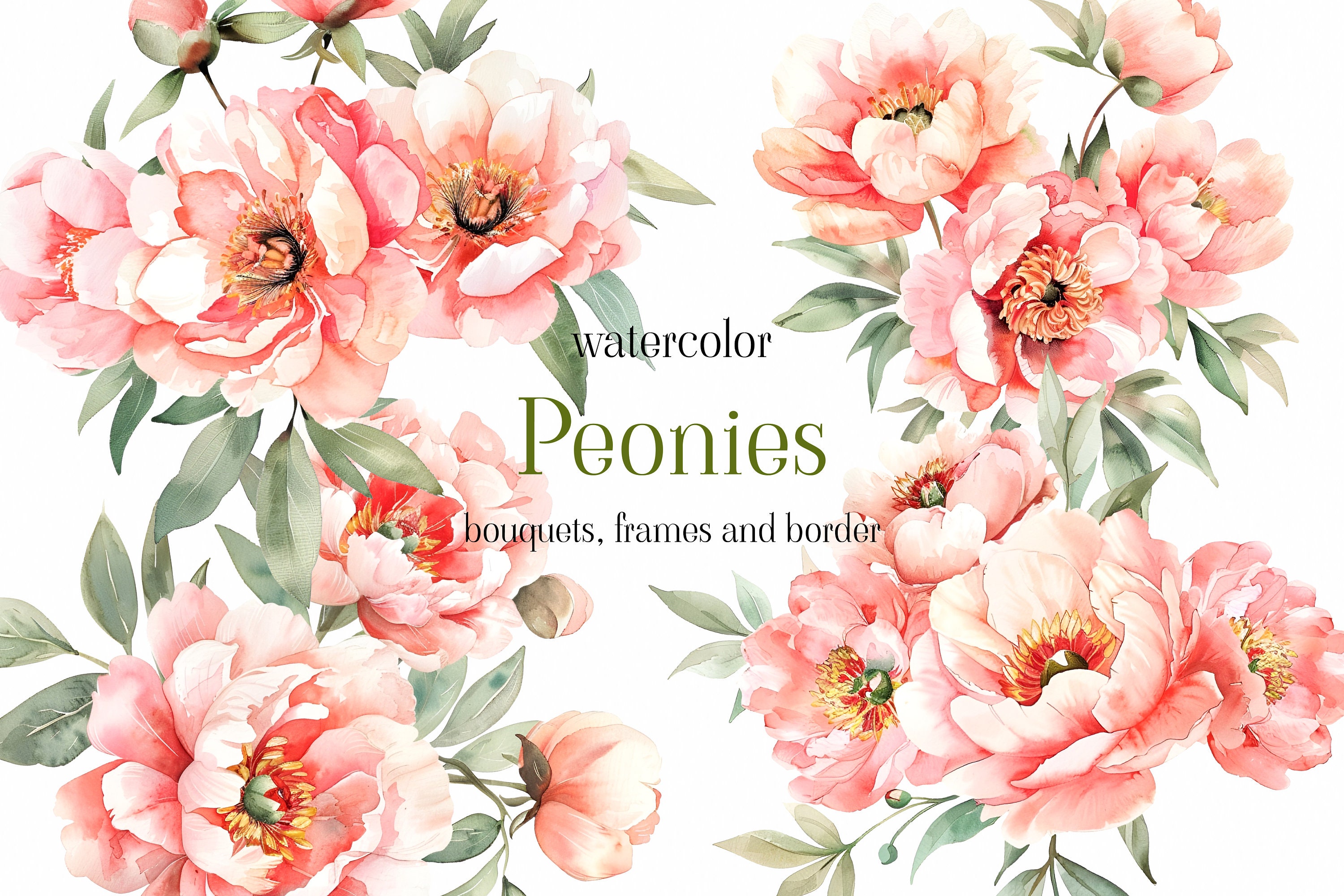 Watercolor Blush Peonies Clipart Set: Frames & Seamless Pattern ...