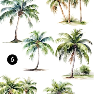 Watercolor Palms Clipart Png - Watercolor Tropical Clipart - Palm Trees ...