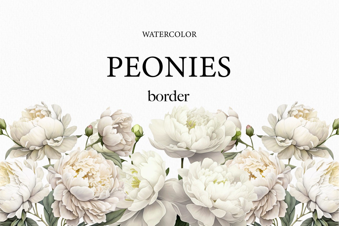 Watercolor Peony Floral Clipart - Wreath White Peony Flowers Png ...