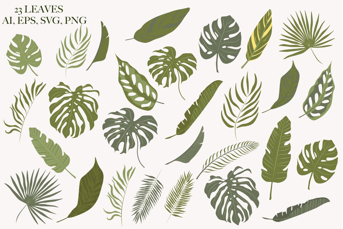 Jungle Leaves Elements Tropical Greenery Clipart With Jungle Leaves PNG ...