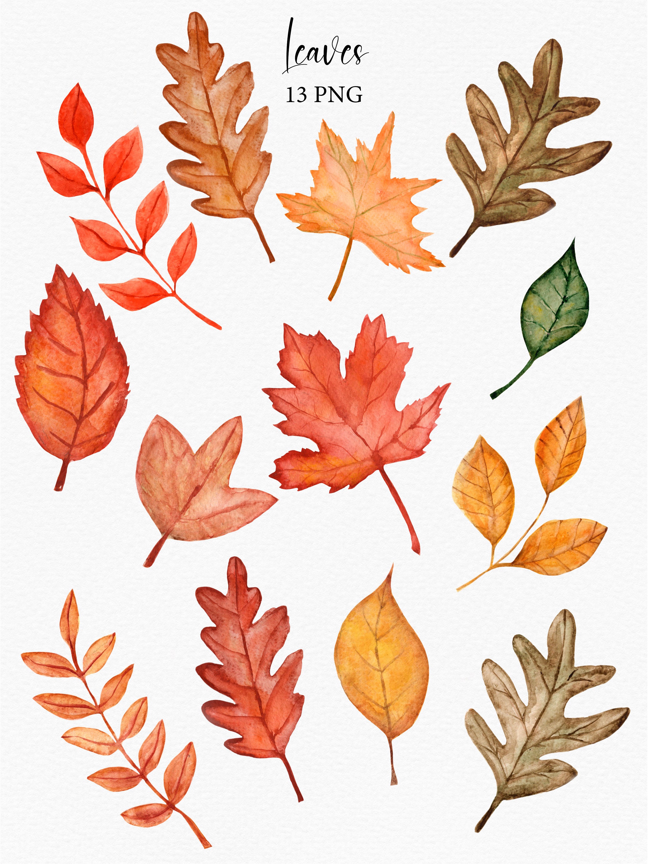 Watercolor Fall Clipart Autumn Clipart Pumpkin Watercolor Fall Leaves ...