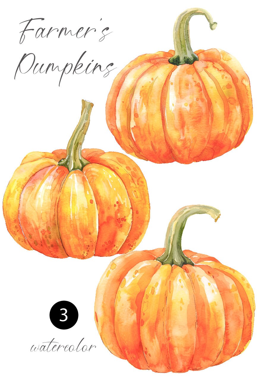 Watercolor Pumpkin Clipart - Autumn Pumpkin Png - Fall Pumpkin Png ...