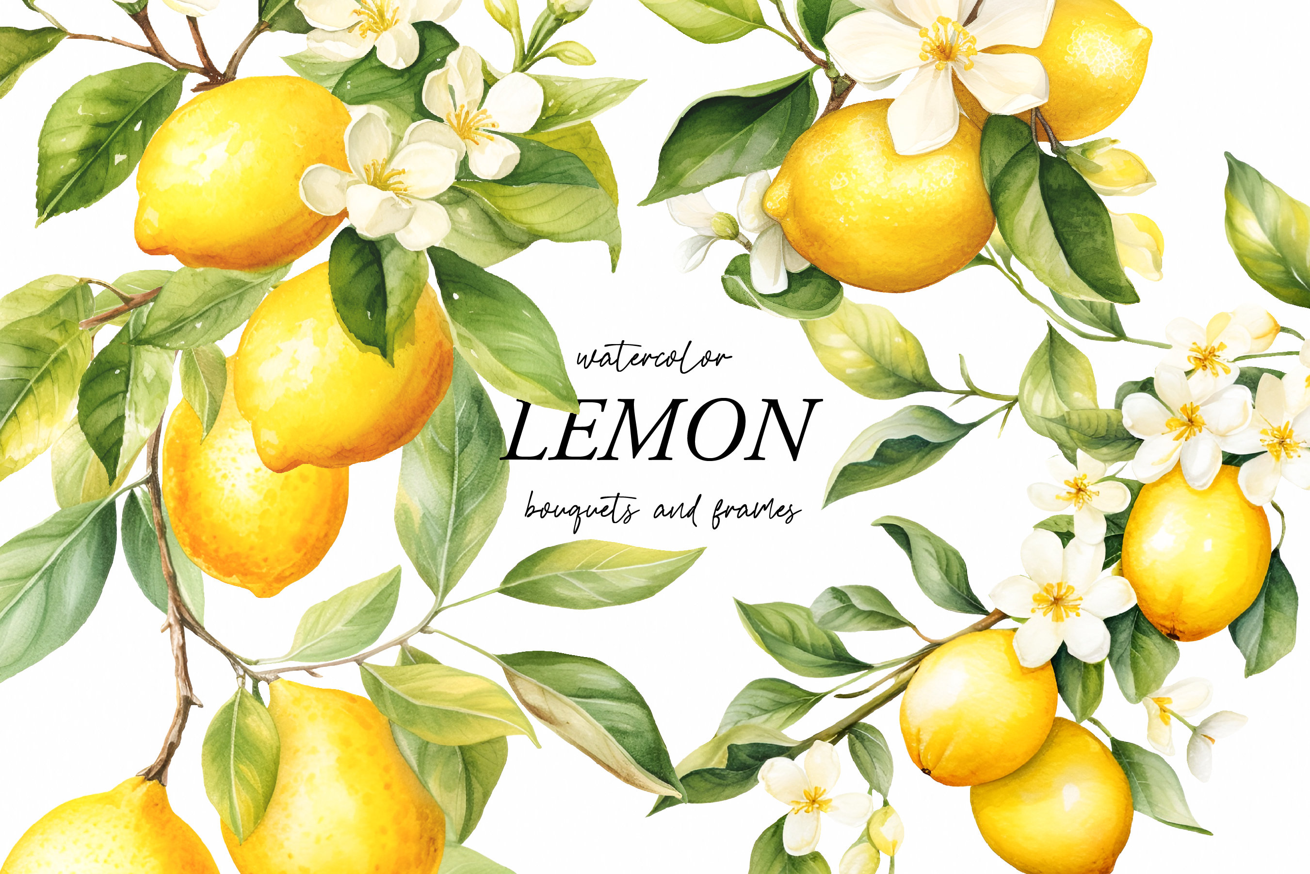 Watercolor Lemon Clipart - Watercolor Lemons Png - Lemon Twig Clipart ...