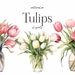 Watercolor Tulips Clipart - Watercolor Floral Clipart Png - Watercolor ...