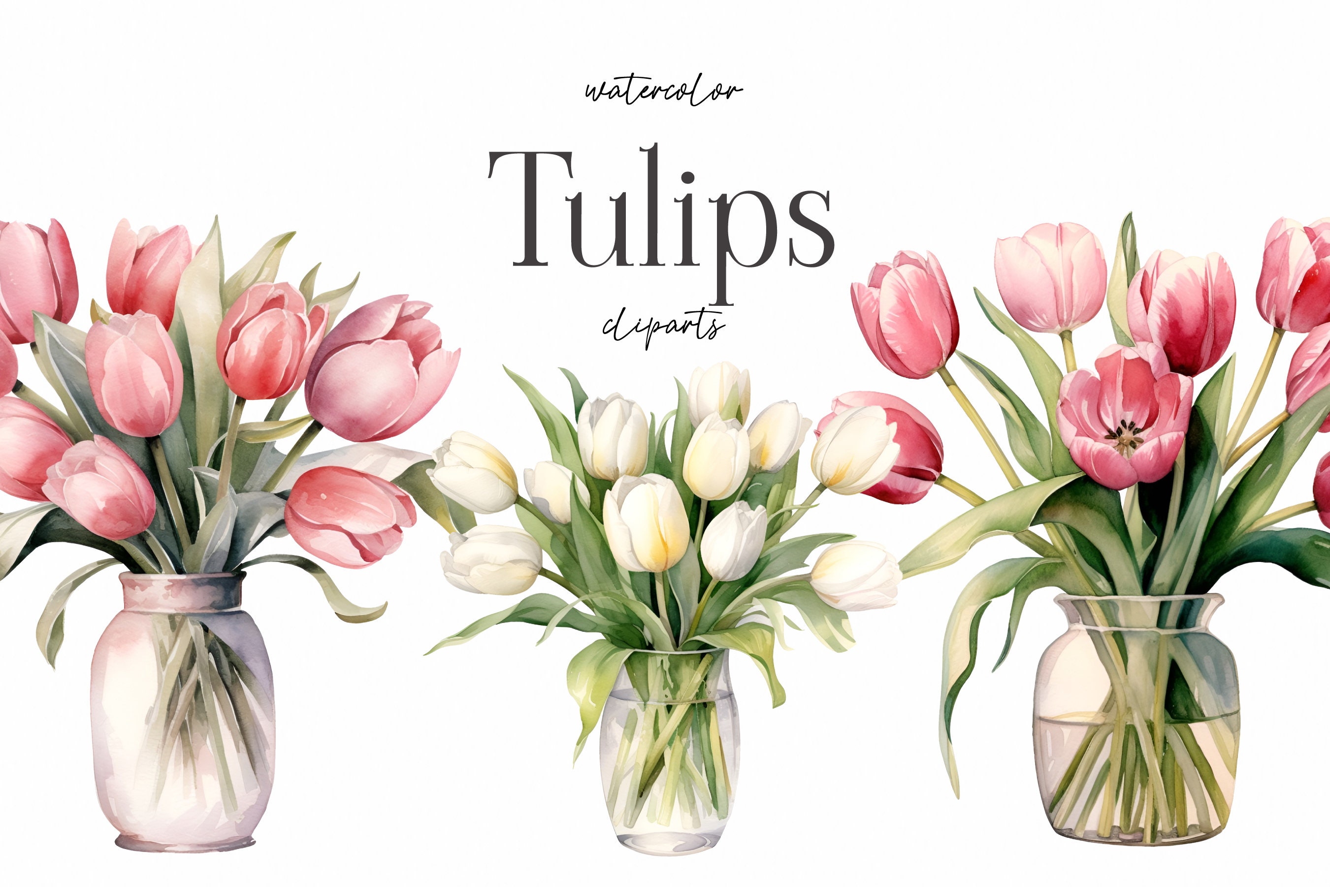 Watercolor Tulips Clipart Watercolor Floral Clipart Png Watercolor ...