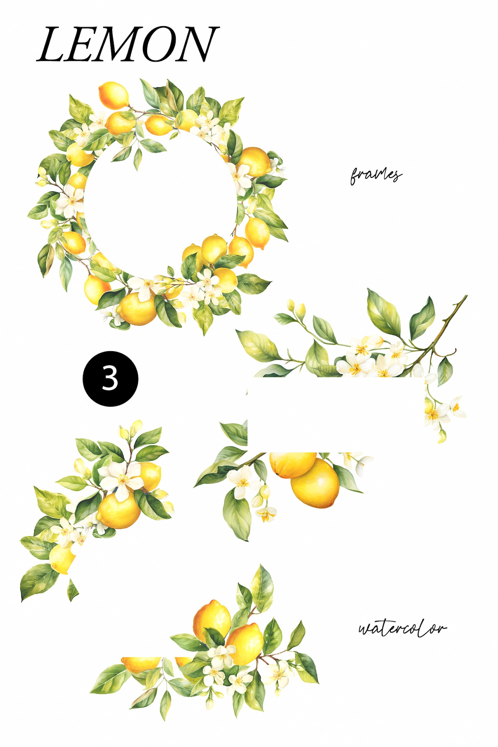 Watercolor Lemon Clipart - Watercolor Lemons Png - Lemon Twig Clipart ...
