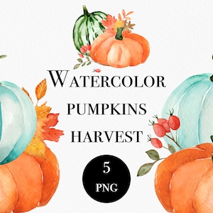 Watercolor Pumpkin Clipart - Autumn Pumpkin Png - Fall Pumpkin Png ...