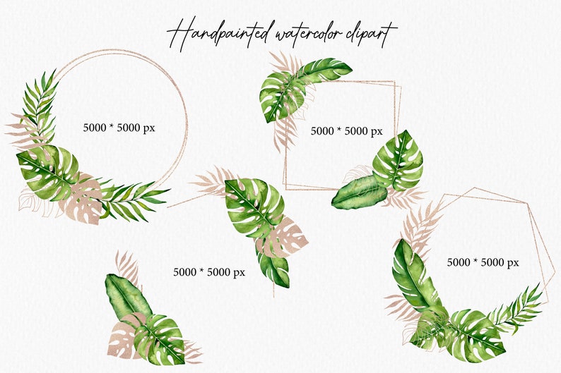 Tropical Leaves Clipart Watercolor Jungle Frames Clip Art Monstera ...
