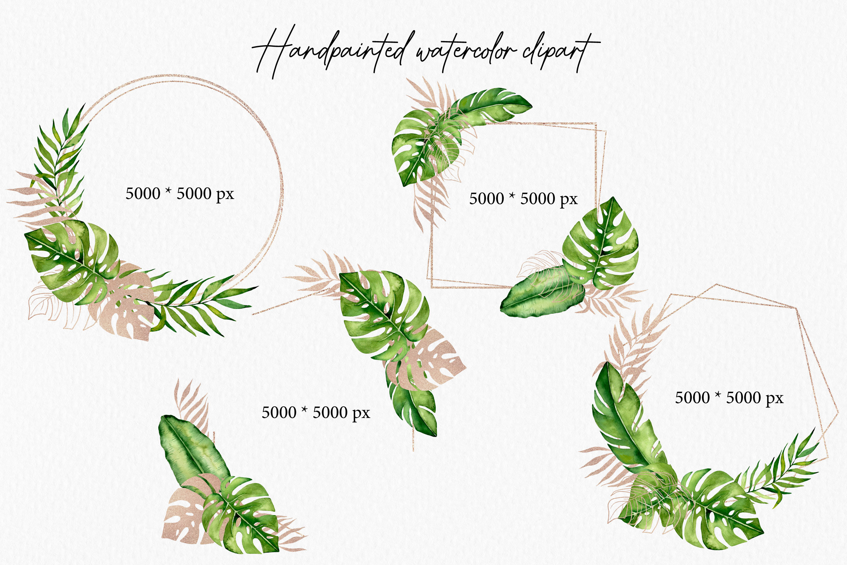 Tropical Leaves Clipart Watercolor Jungle Frames Clip Art Monstera ...