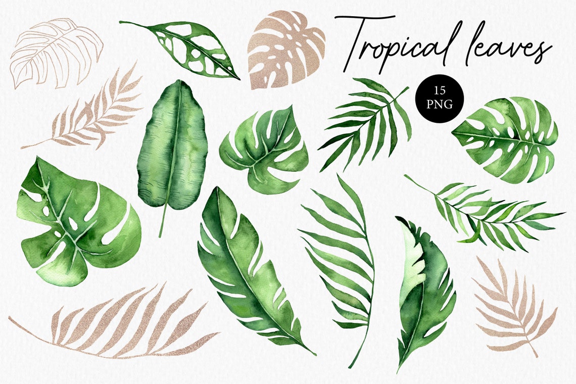 Watercolor Tropical Leaves Clipart Hand Drawn Greenery - Etsy